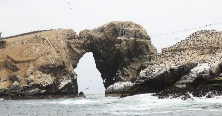 Conoces las Islas de Huaura? – Peruvian Airlines